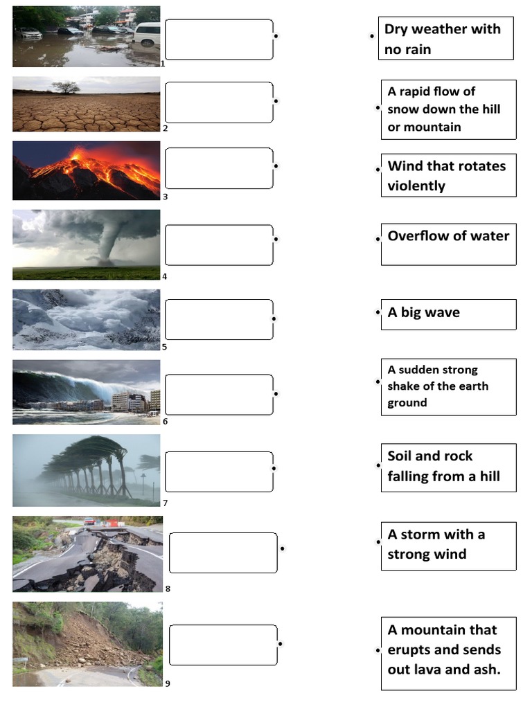 Natural Disaster Worksheet | PDF