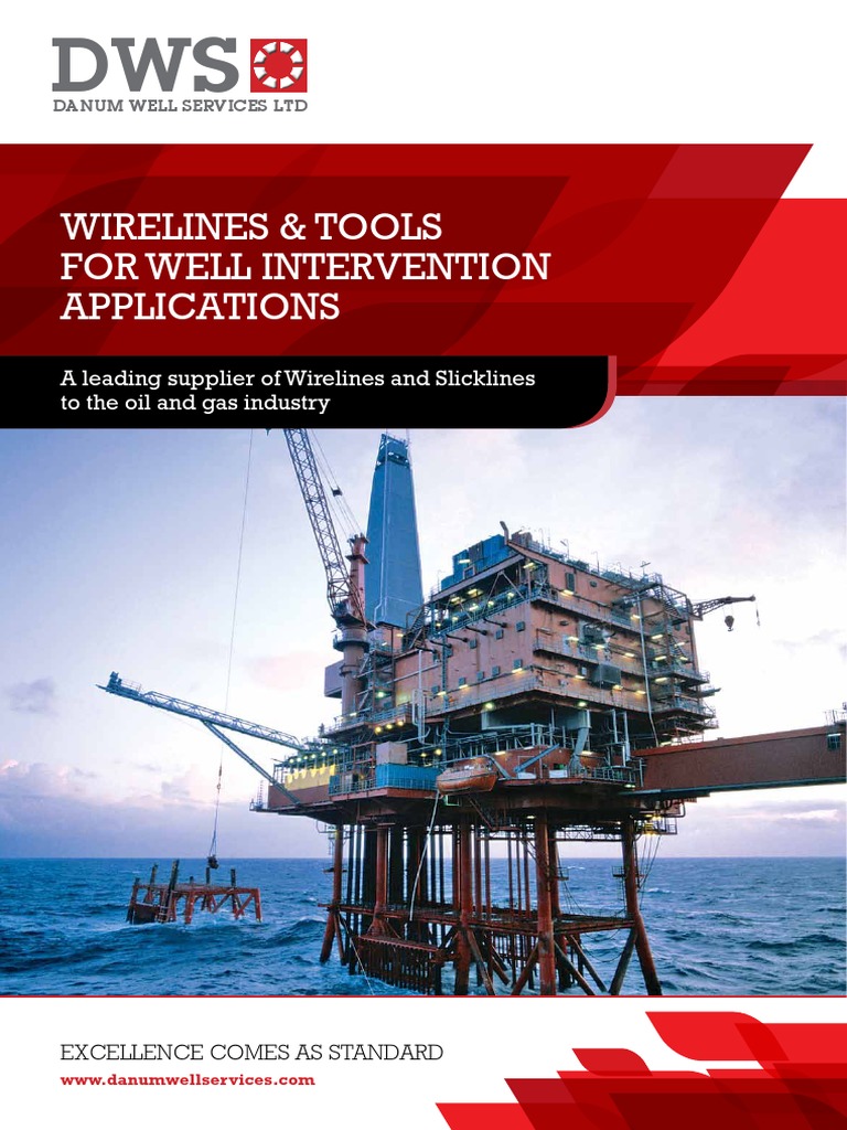 Danum Well Services: Wireline Solutions | PDF | Stainless Steel | Wire