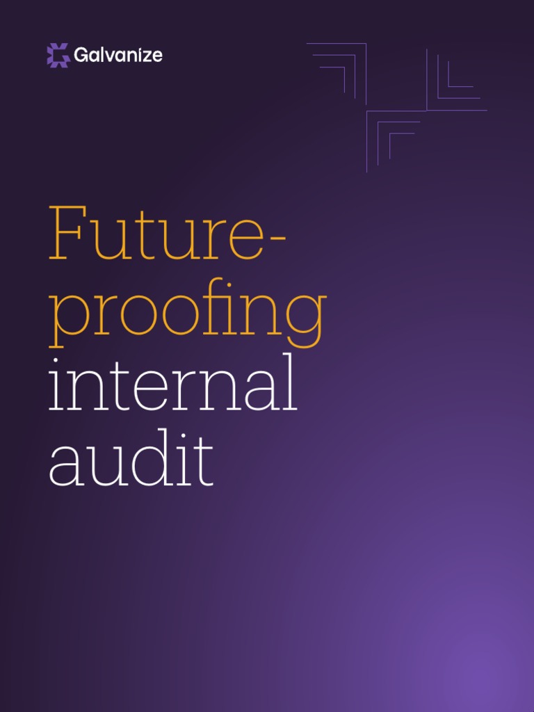 Ebook Future Proofing Internal Audit | PDF | Internal Audit | Computer Security