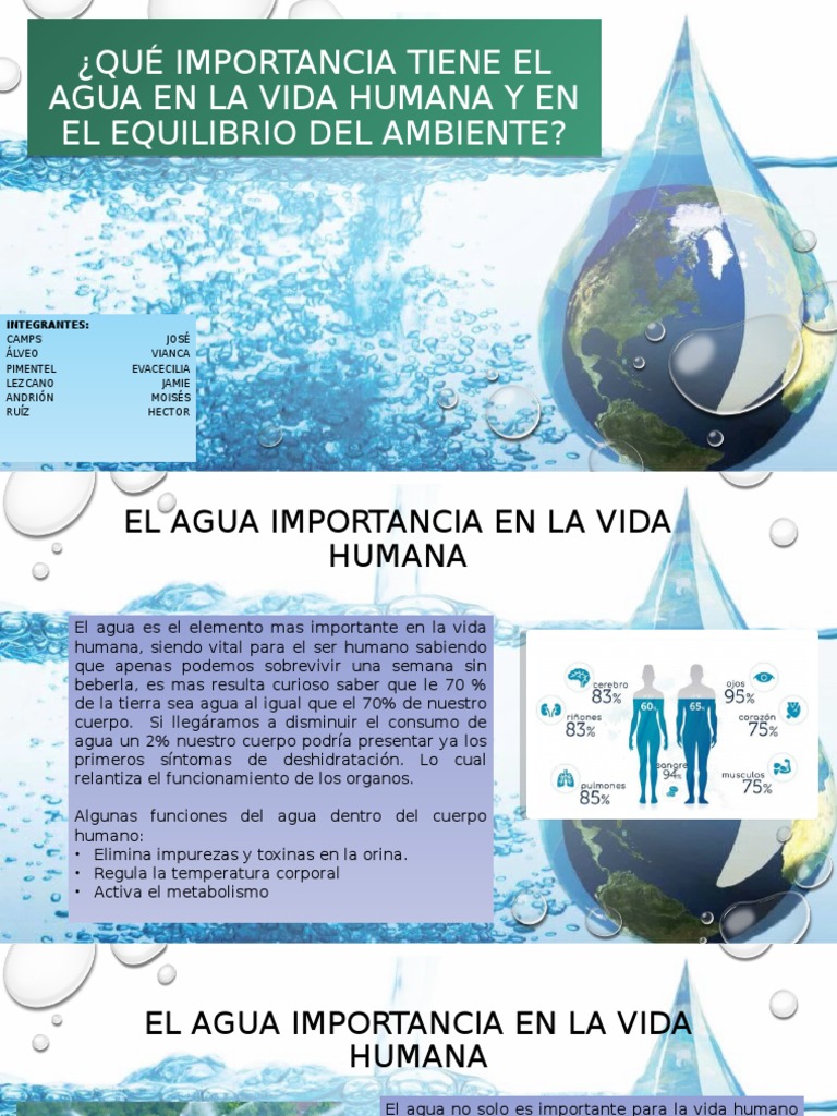 Importancia Del Agua