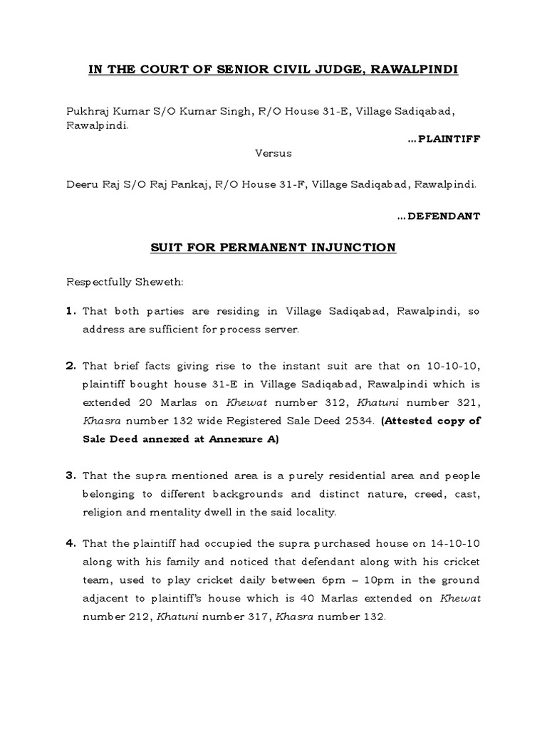 Suit for Permanent Injunction and Damages Caused by Neighboring Cricket ...