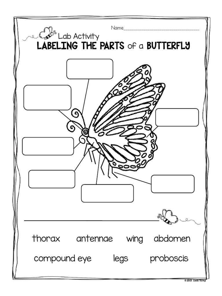 Label Butterfly | PDF