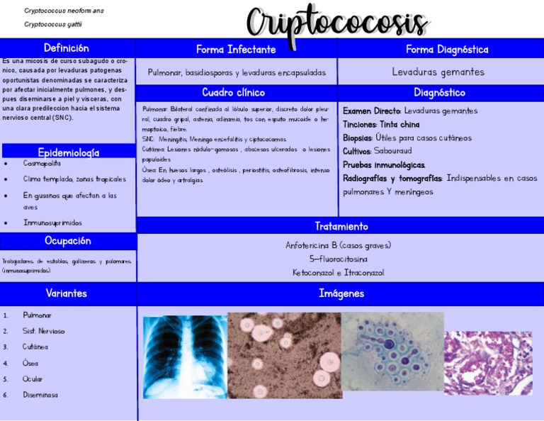 Criptococosis | PDF | Enfermedades animales | Enfermedades y trastornos