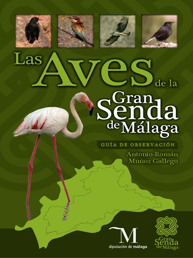 Guia de Aves en Málaga PDF | PDF | Ornitología | Aves