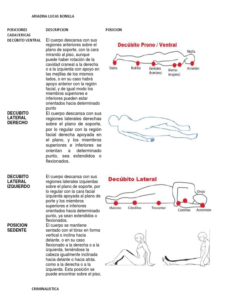 Posiciones Cadavericas | PDF | Términos anatómicos de ubicación ...