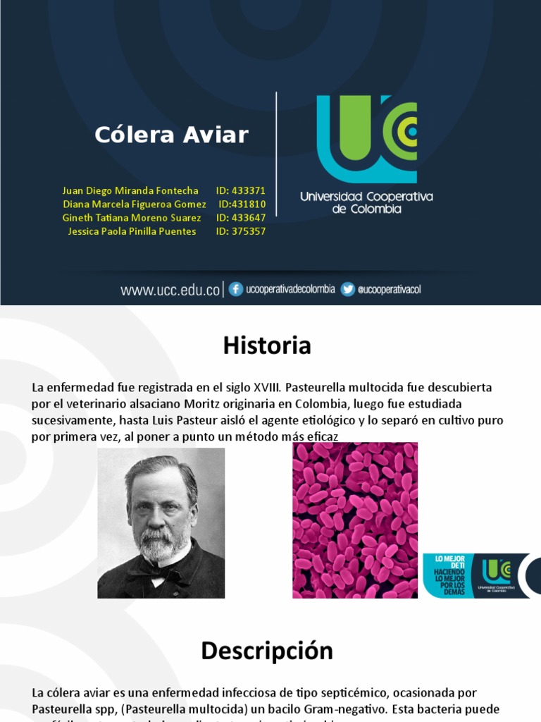 Colera Aviar | PDF | Especialidades Medicas | Medicina CLINICA