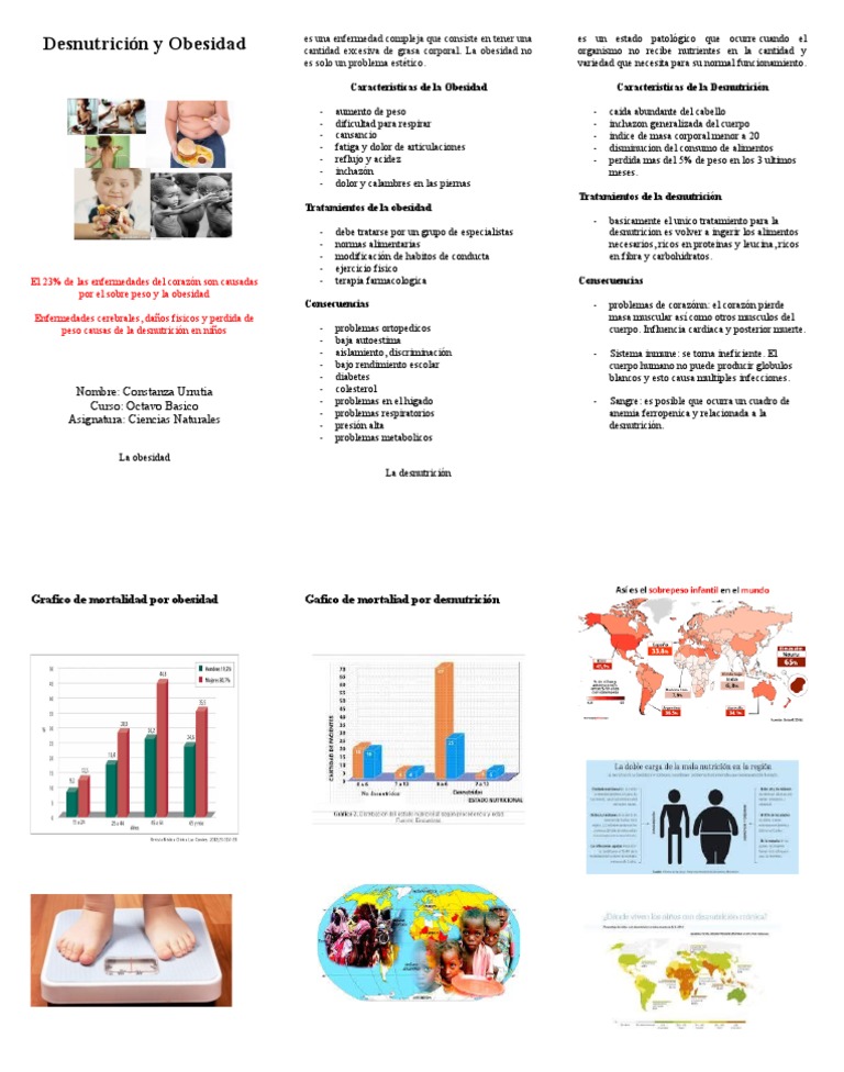 Triptico Desnutrición y Obesidad | Descargar gratis PDF | Obesidad ...