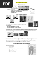Códigos de Diagnósticos y Tratamientos Yo Procedimientos Dentales en El CIE 10 | PDF | Diente ...