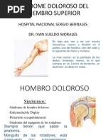 Apófisis Coracoides | PDF | Hombro | Extremidades (anatomía)
