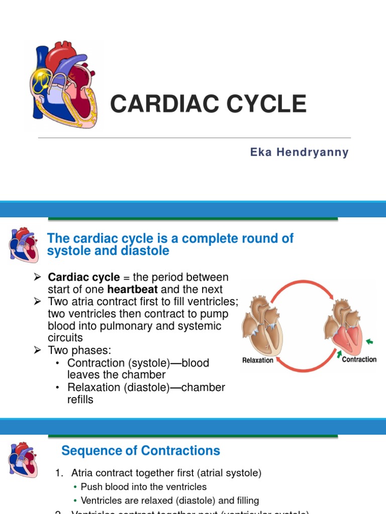 Cardiac Cycle | PDF | Heart Valve | Diastole