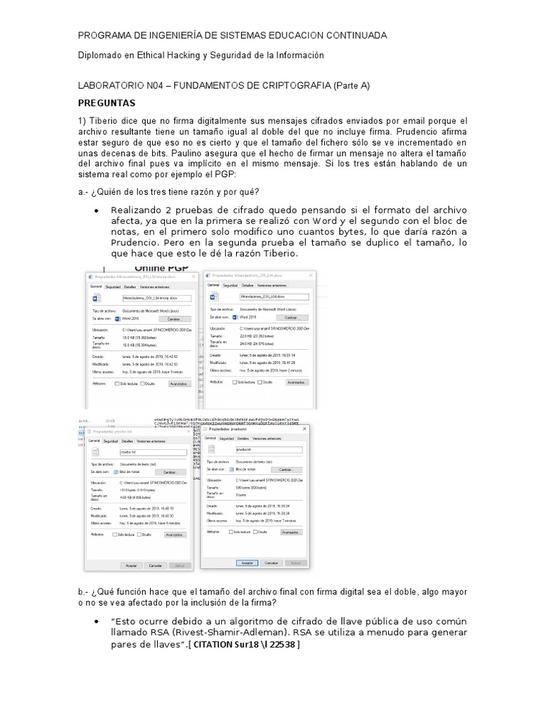 MirandaJimmy DSI L04 | PDF | Clave (criptografía) | Cifrado
