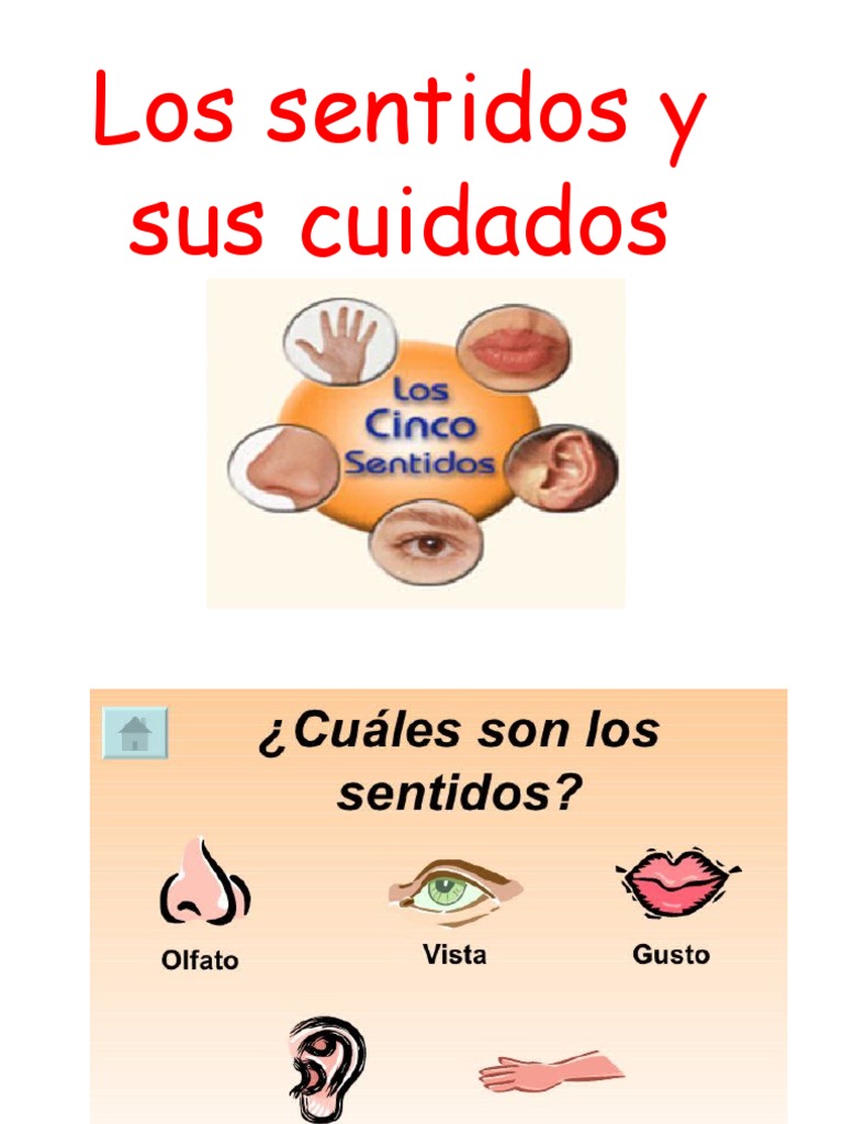Cuidado de Los Sentidos | PDF