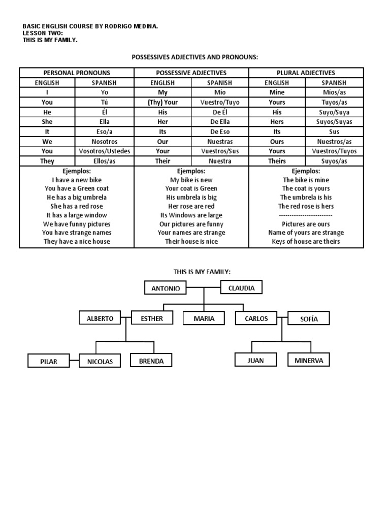 Family Vocabulary and Possessives Guide | PDF | Syntax | Linguistics