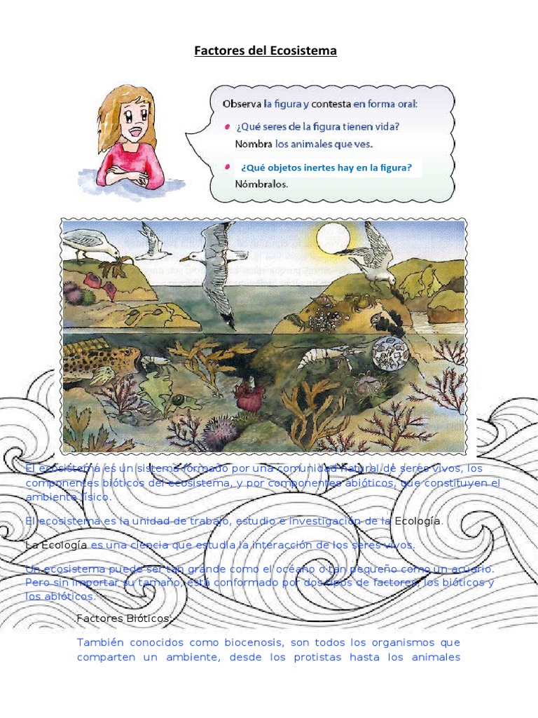 Ciencias Naturales Individuo, Población, Comunidad y Ecosistema | PDF ...