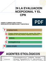 Perfil Torch | PDF | El embarazo | Infección