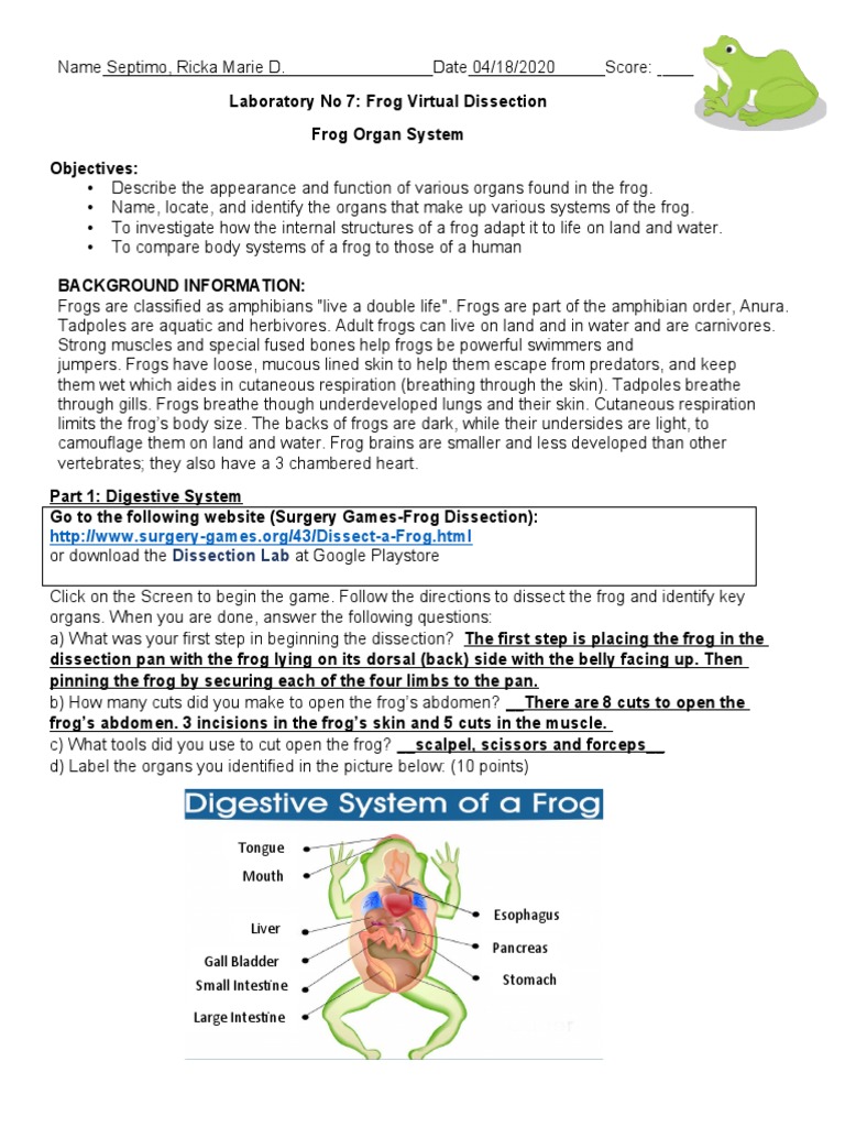 Septimo, Ricka Marie D. - Labortaory No. 7. Frog Organ System Part 1 ...