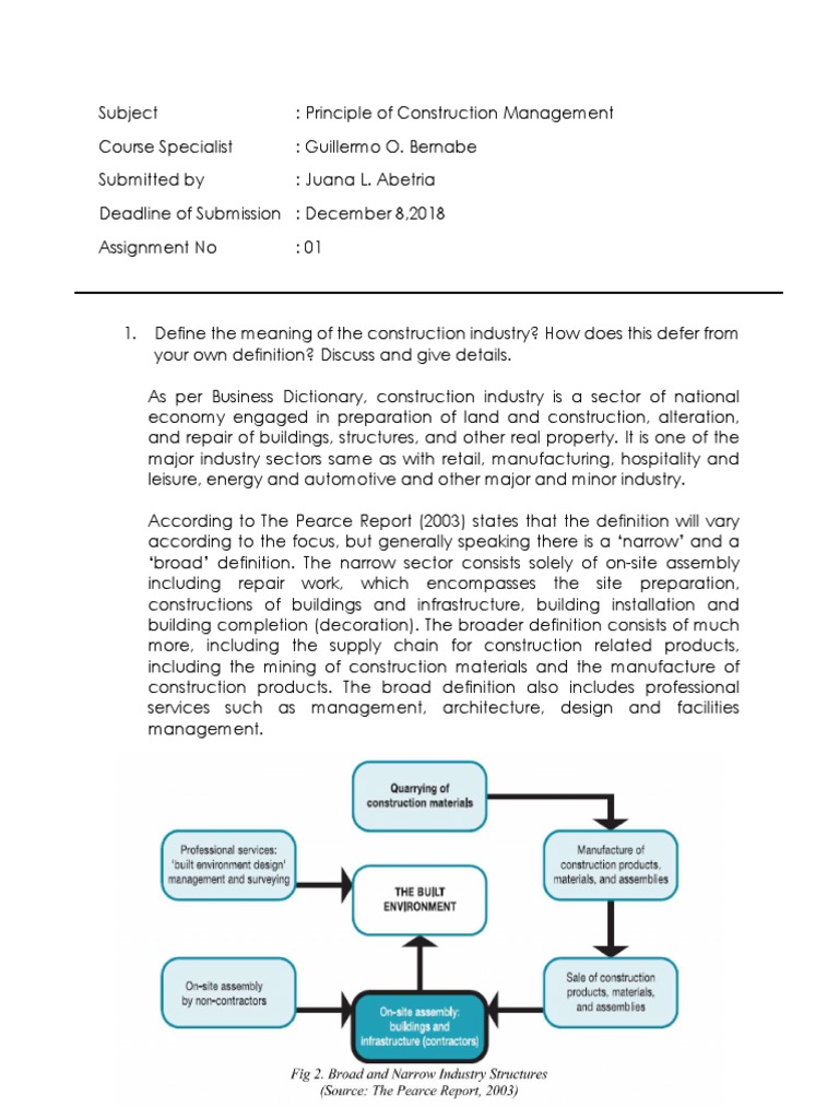 Construction Management Insights | PDF | Project Management ...