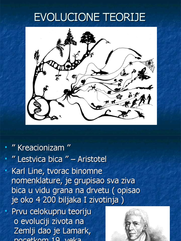 Dokazi Evolucije | PDF