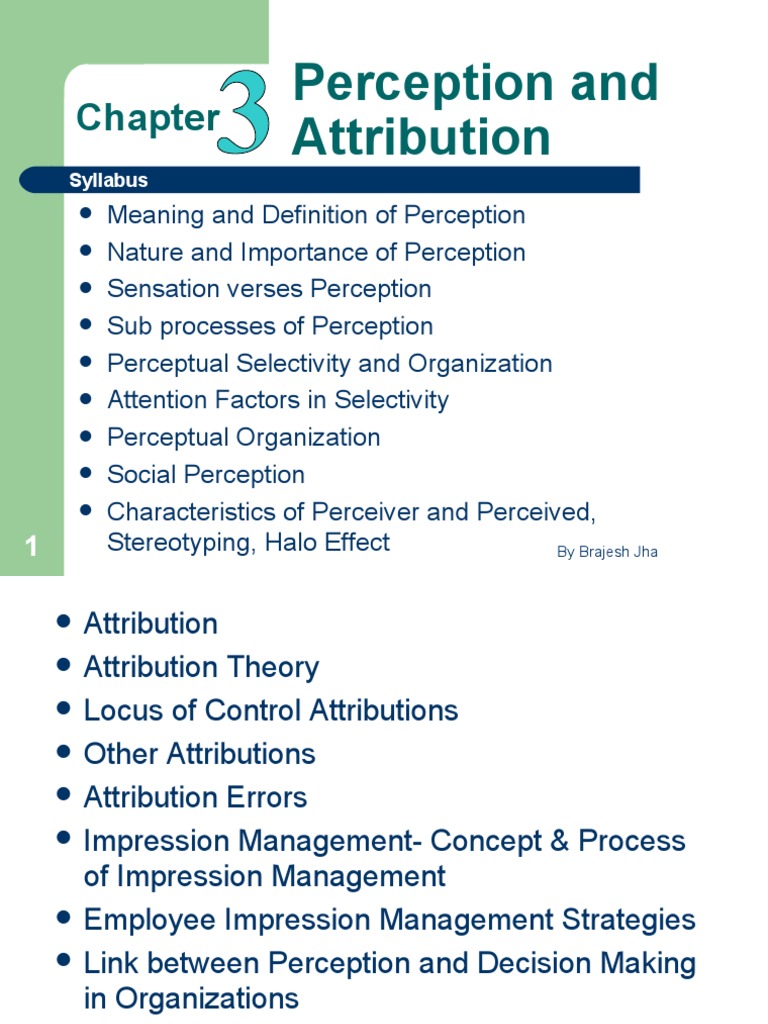 Perception and Attribution in OB | PDF | Perception | Bias