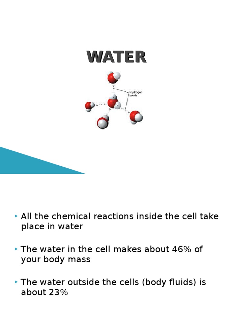 Water | PDF | Science & Mathematics