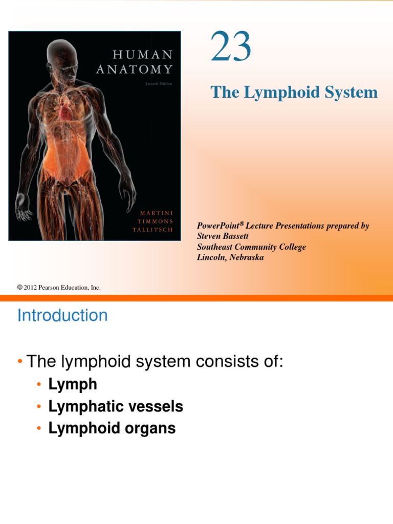 23 Lecture Presentation PDF | Download Free PDF | Lymphatic System ...