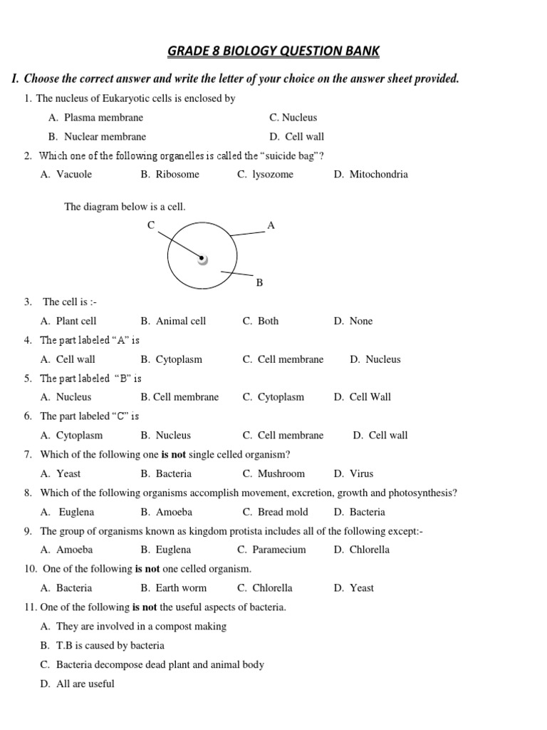 Grade 8 Biology Worksheet 1 | PDF | Stimulus (Physiology) | Cell (Biology)