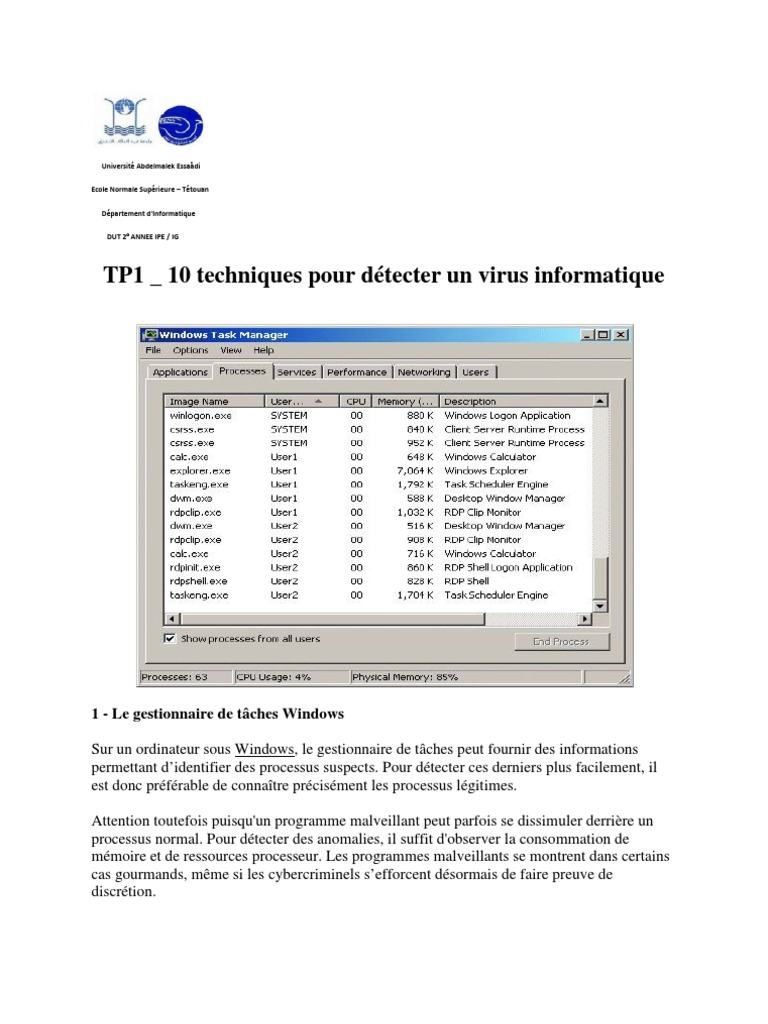 TP4 - 10 Techniques Pour Détecter Un Virus Informatique | PDF | Vulnérabilité (Informatique ...