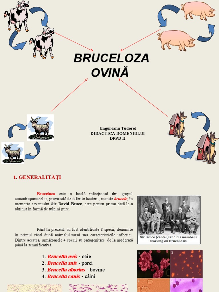 BRUCELOZA | PDF
