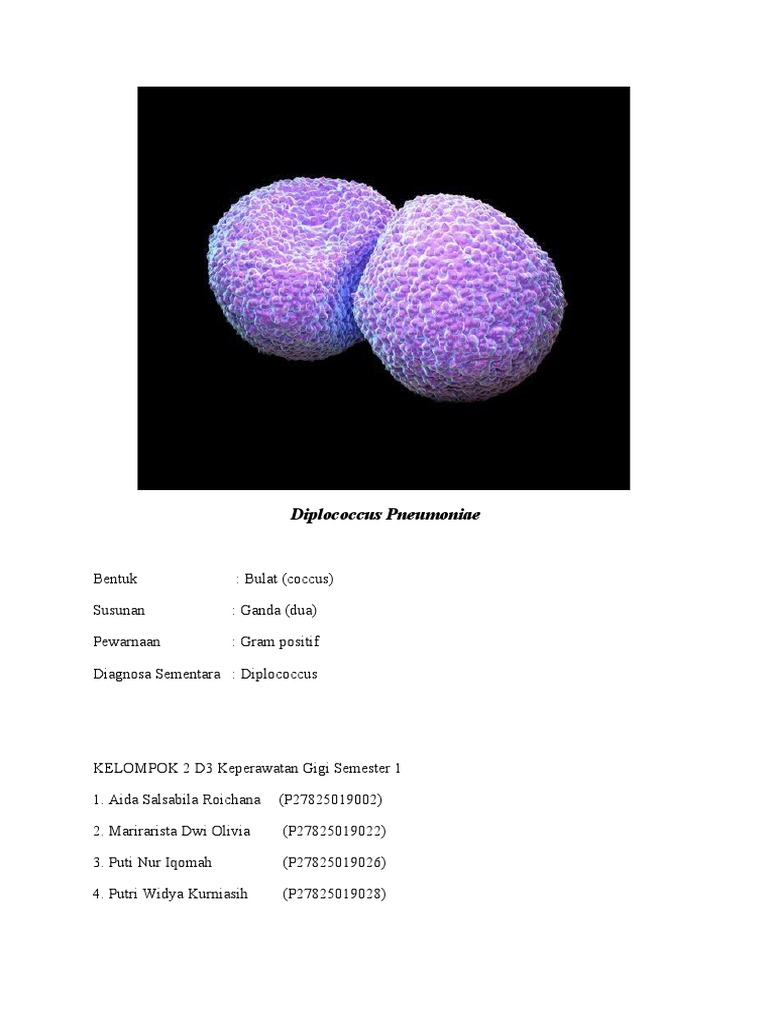 Diplococcus Pneumoniae | PDF