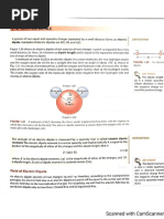 NCV Reviewed Electrical Principles and Practice Level 3 12041003 STD ...