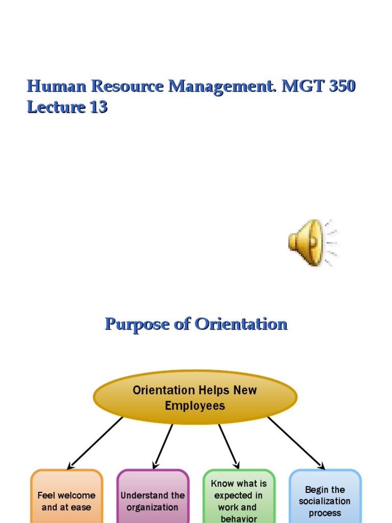 Training and Development - Lecture 13 | PDF | Neuropsychology | Learning