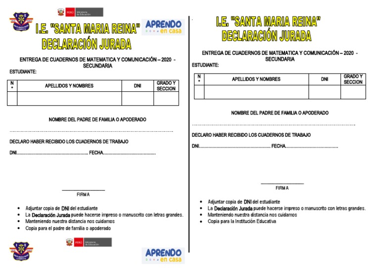 Formato Entrega de Libro | PDF