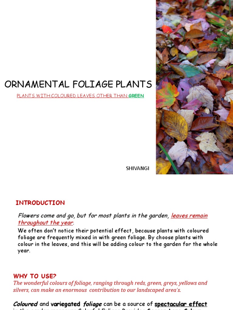 Ornamental Foliage Plants | PDF | Carotenoid | Nature