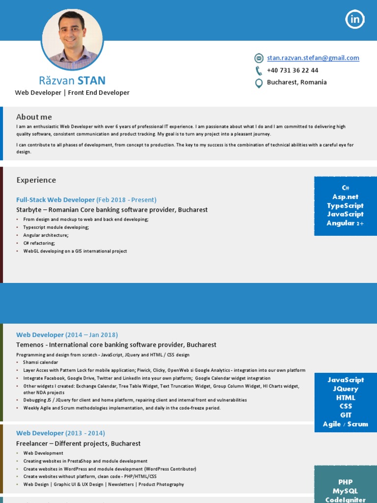 Experienced Web Developer Profile | PDF | Word Press | Php