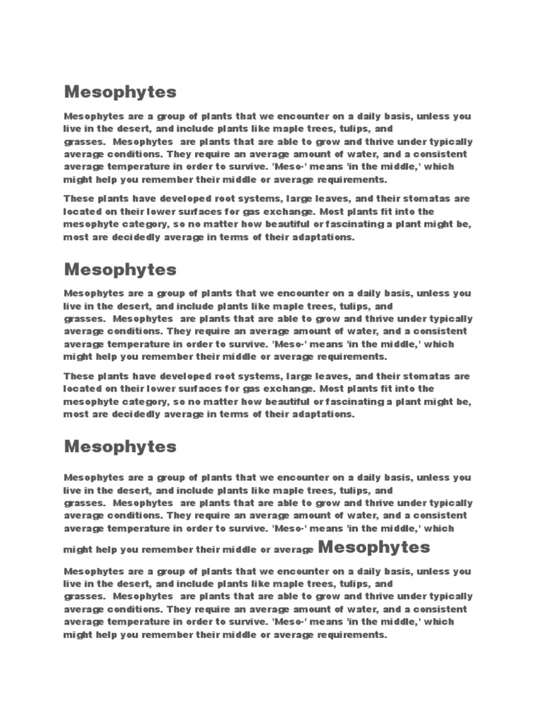 Mesophytes | PDF | Plants | Root