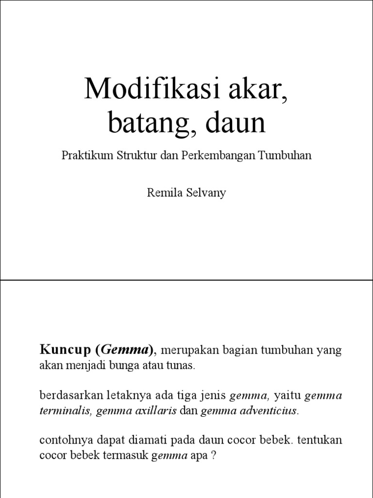 Modifikasi Akar Batang Daun | PDF