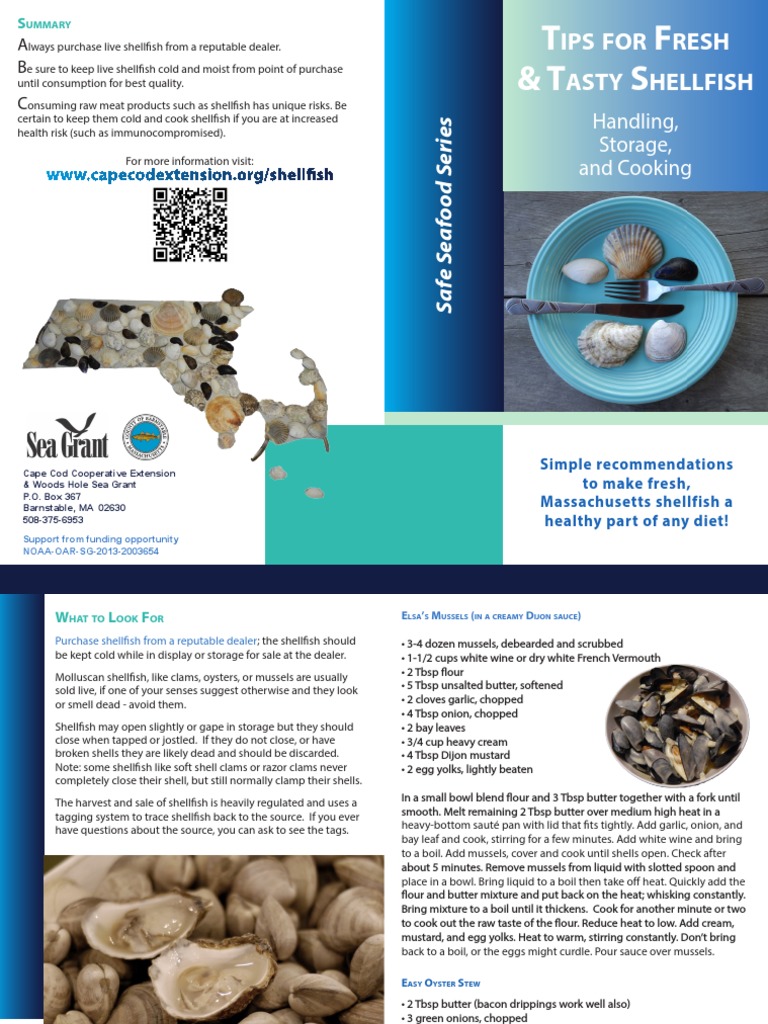 Tips For Fresh and Tasty Shellfish Handling Storage and Cooking | PDF ...