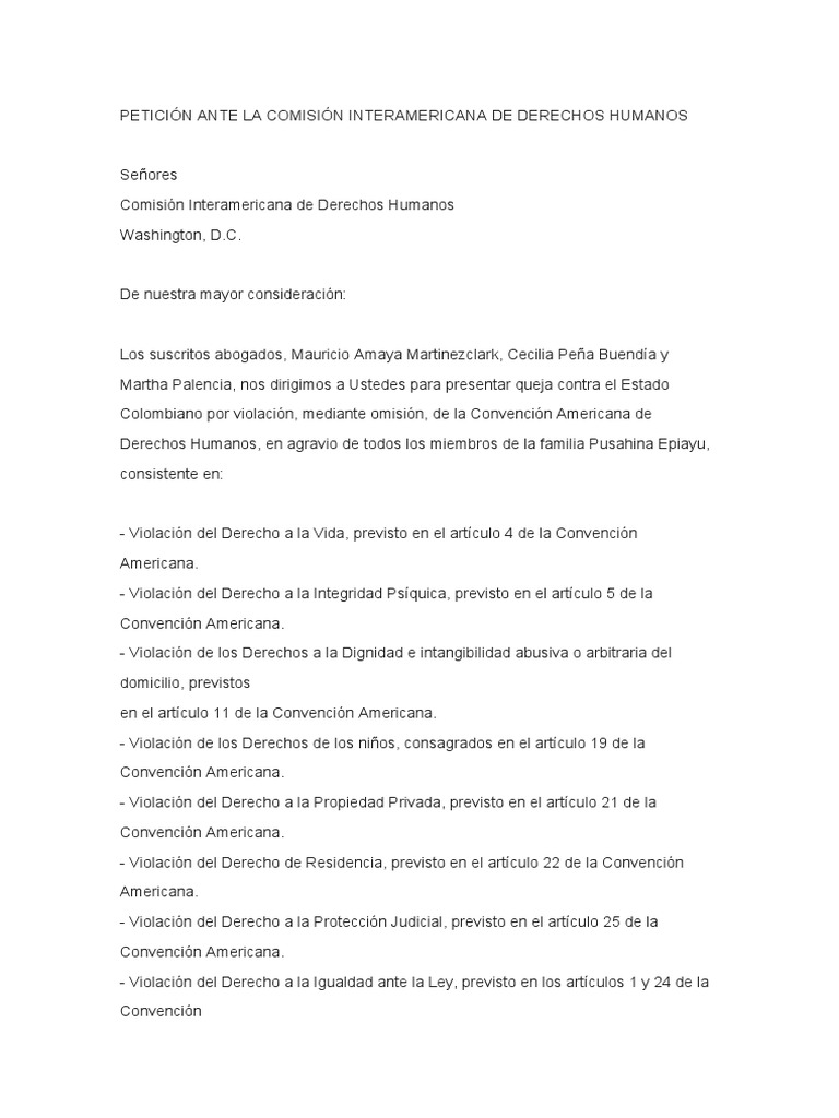PETICIÓN ANTE LA COMISIÓN INTERAMERICANA DE DERECHOS HUMANOS (Modelo) | PDF | Convenio europeo ...