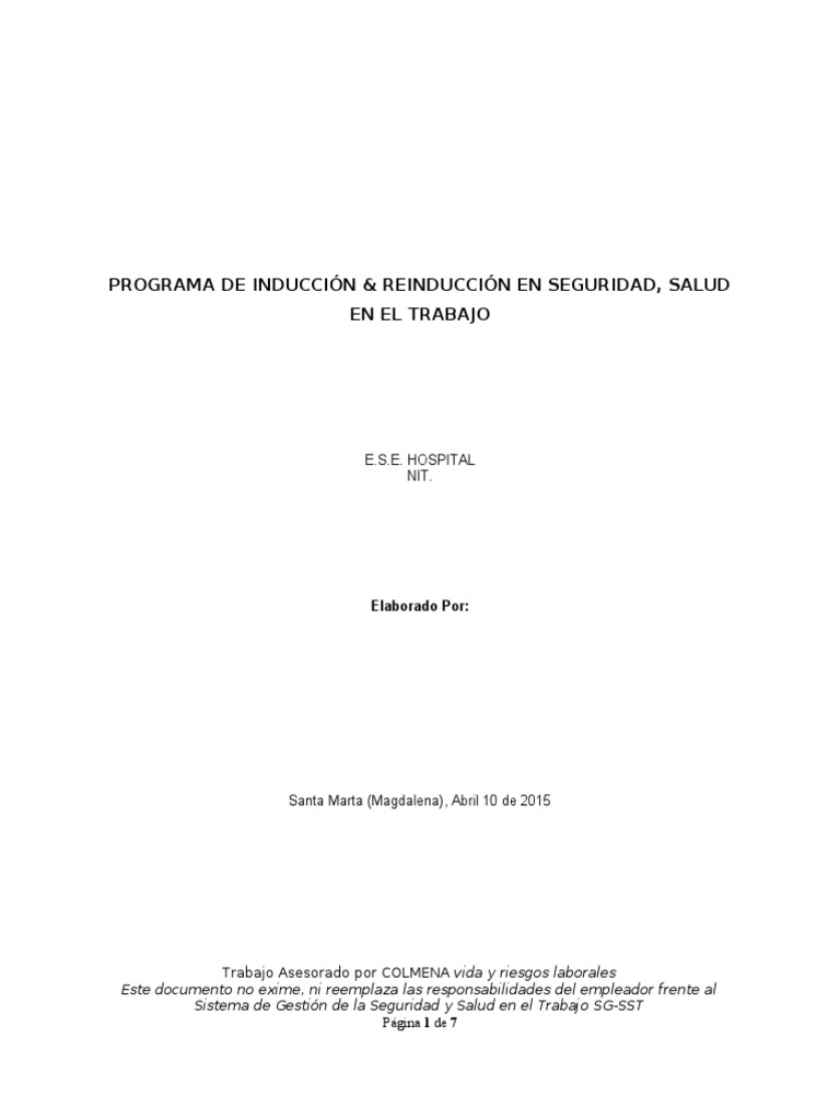 Modelo Programa de Induccion y Reinduccion en SST | PDF | Hospital | Razonamiento inductivo