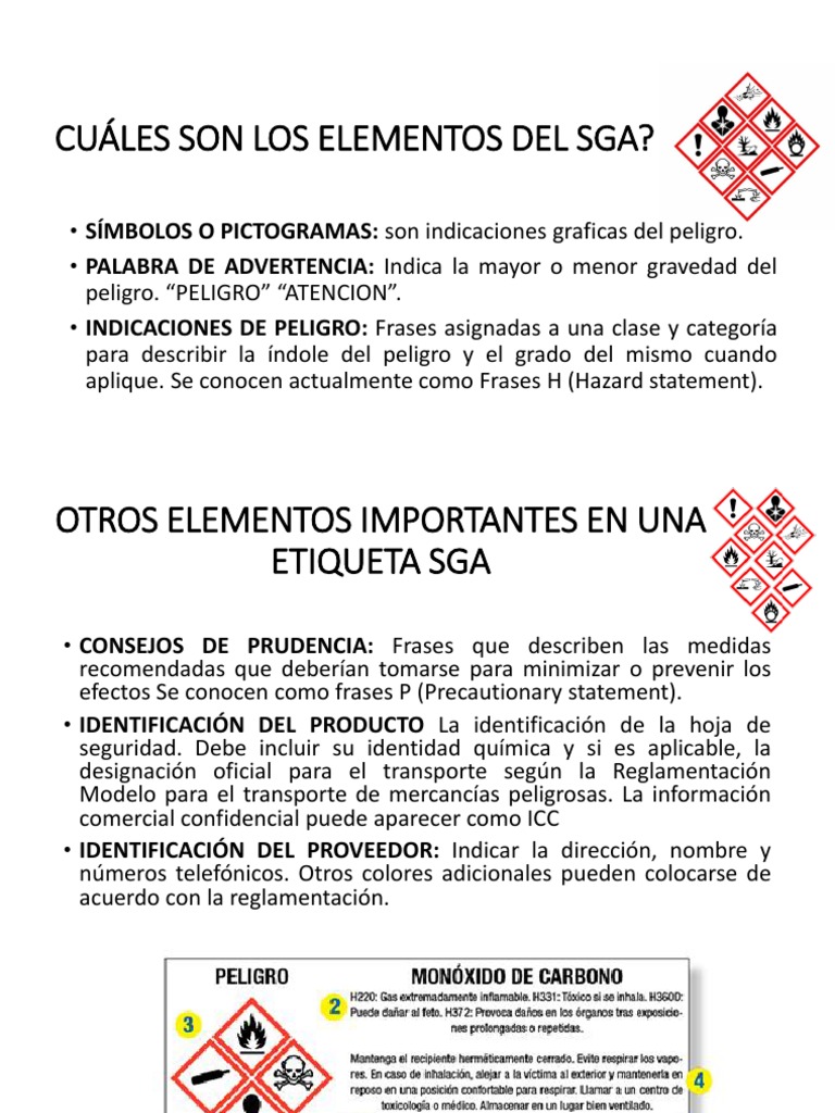 Cuáles Son Los Elementos Del Sga | PDF