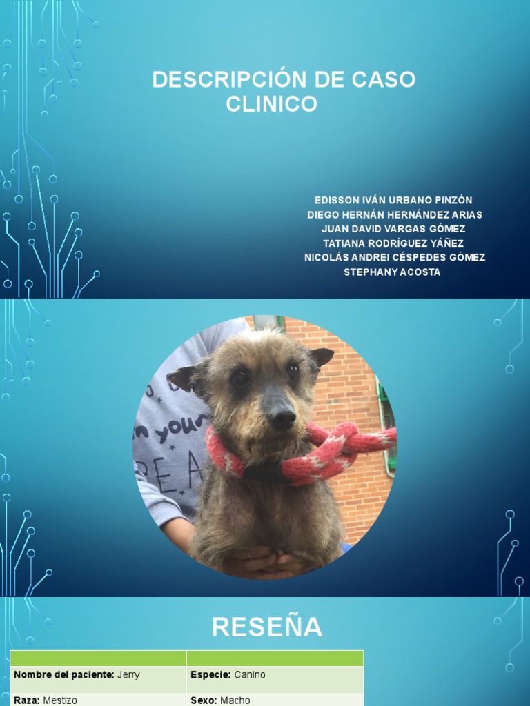 Caso-William-Leon-Jerry-Ultima Ahora Si | PDF | Hormona estimulante de la tiroides | Tiroides