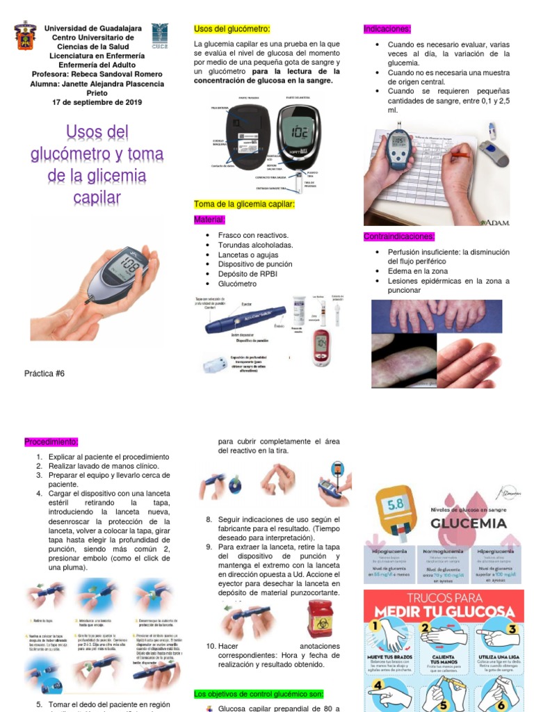 Glucometro | PDF | Medicina | Especialidades Medicas