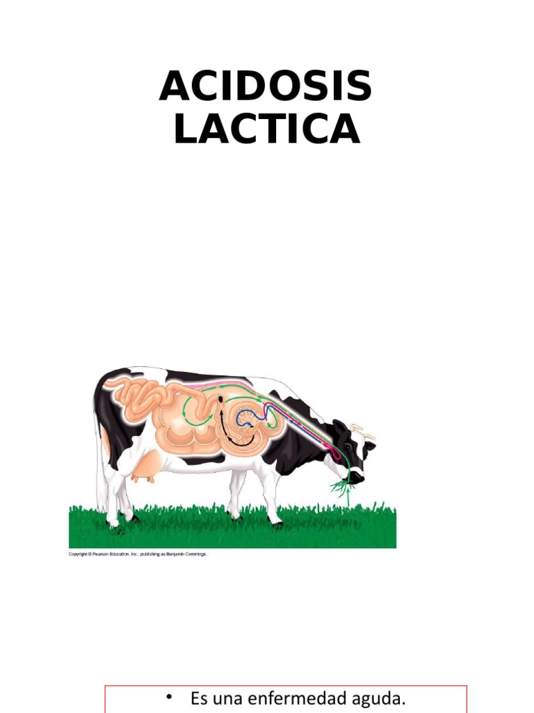 Acidosis Lactica | PDF | Deshidración | Ácido láctico