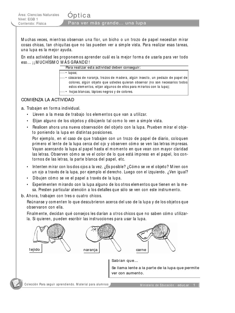 Uso de la Lupa en Ciencias para Niños | PDF | Papel | Science