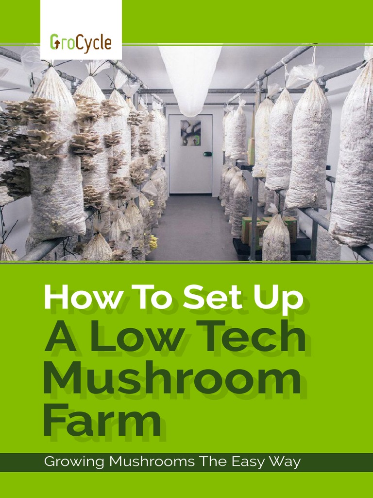How To Set Up A Low Tech Mushroom Farm | PDF