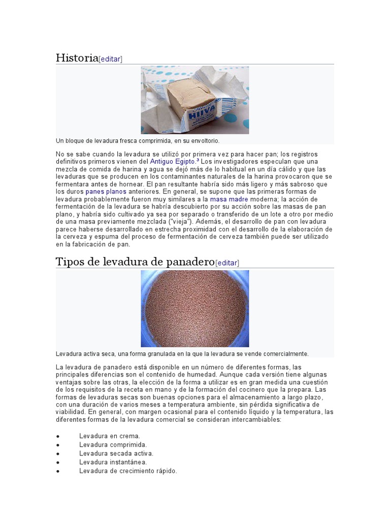 Historia De La Levadura Pdf Levadura De Panadería Panes