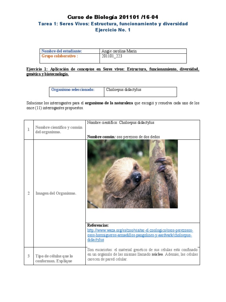 El Oso Perezozo | PDF | Biología Celular) | Organismos