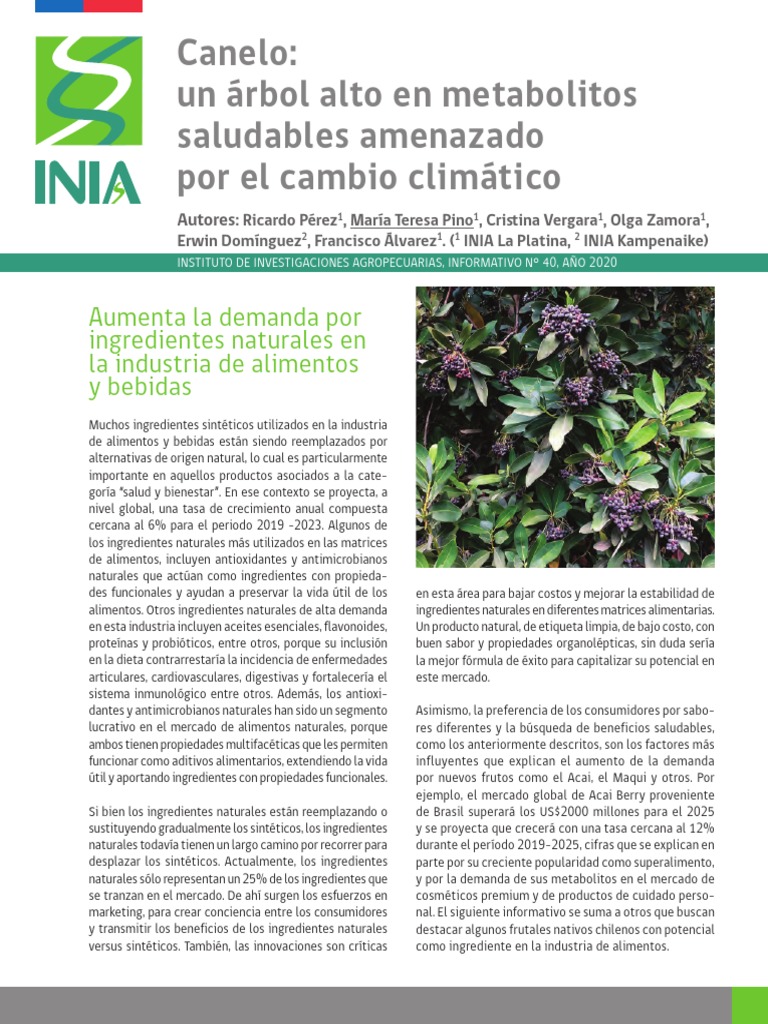 El Canelo PDF | PDF | Antioxidante | Alimentos