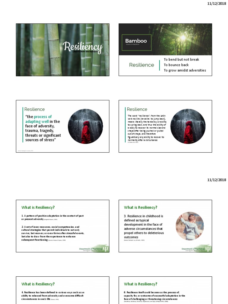 Bamboo: Lessons on Resilience from Nature's Most Flexible Plant | PDF ...