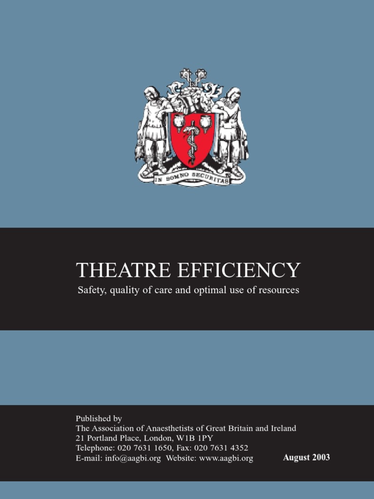 Theatre Efficiency 03 | PDF | Surgery | Patient